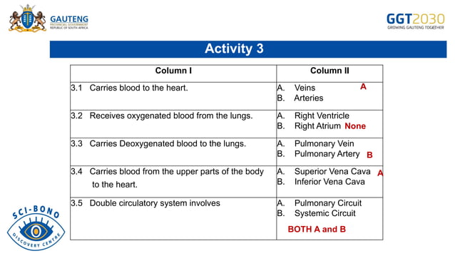 Life Sciences Gr.10 Lesson 54 Transport system Blood circulation system ...