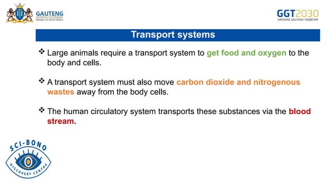 Life Sciences Gr.10 Lesson 54 Transport system Blood circulation system ...