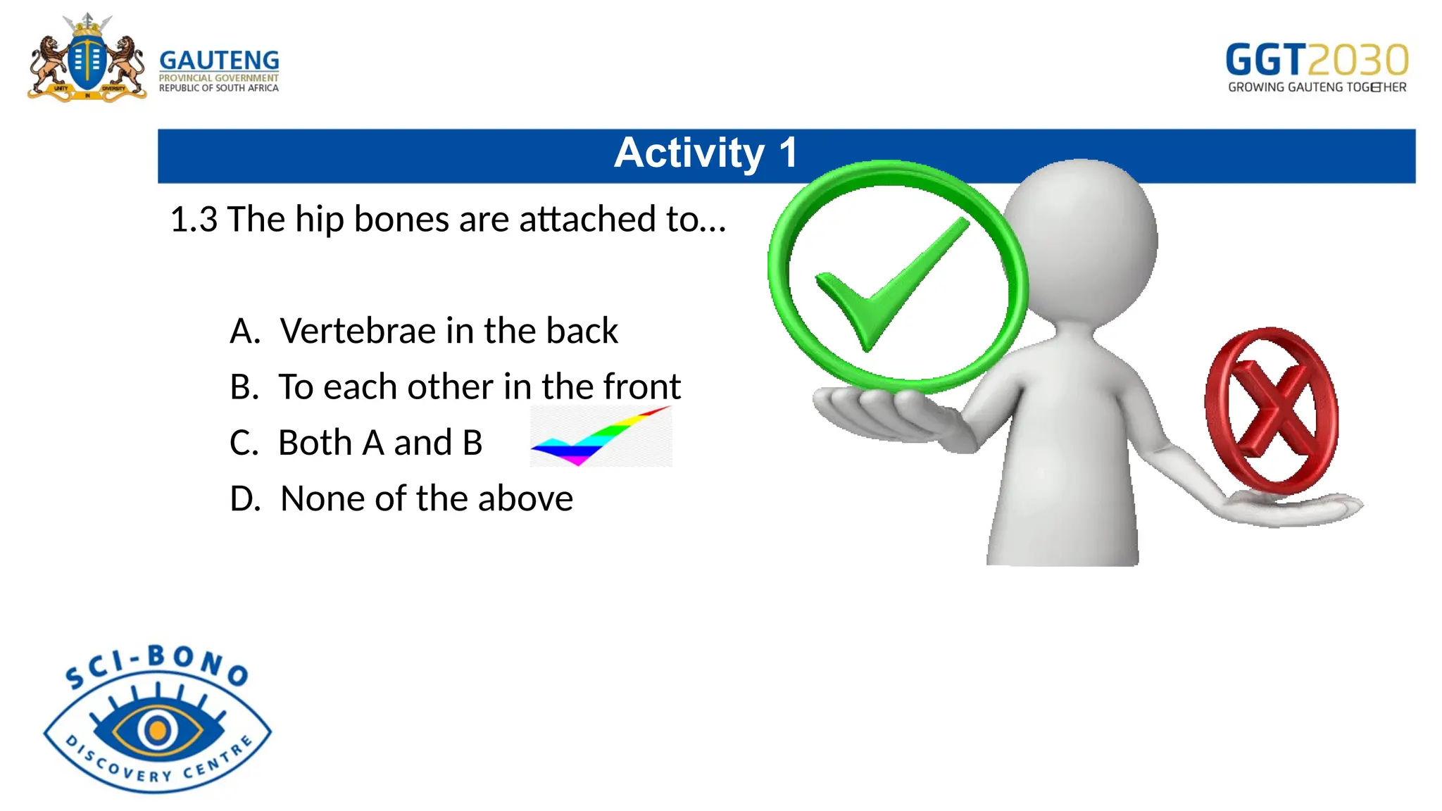 Life Sciences Gr.10 Lesson 53 Support systems in animals. Functions of ...