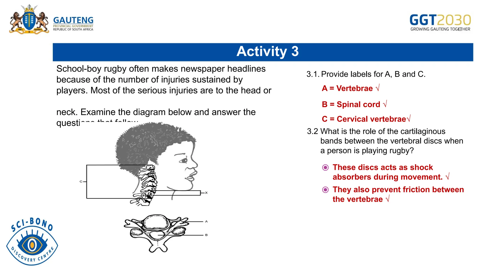 Life Sciences Gr.10 Lesson 53 Support systems in animals. Functions of ...