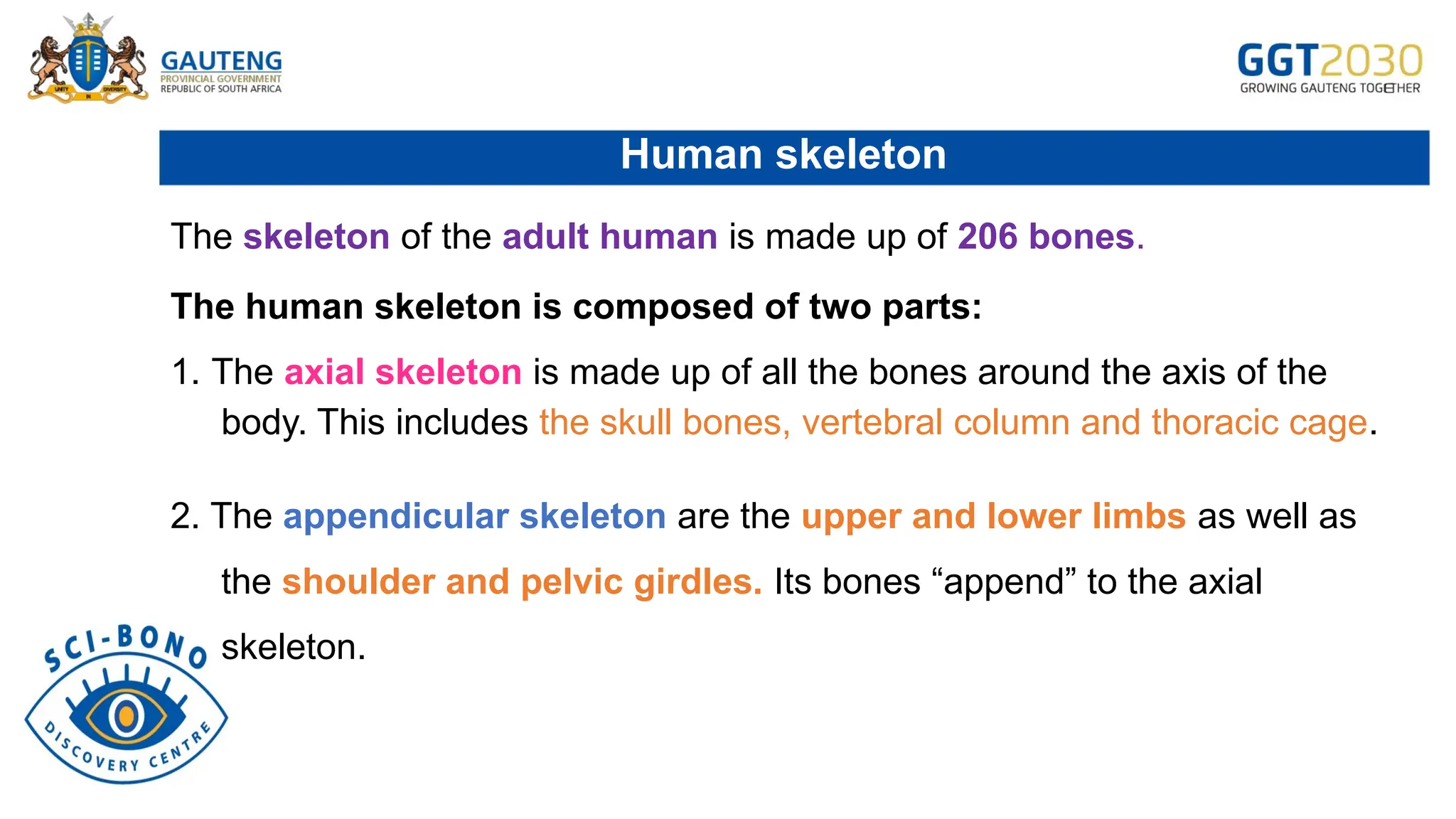 Life Sciences Gr.10 Lesson 53 Support systems in animals. Functions of ...