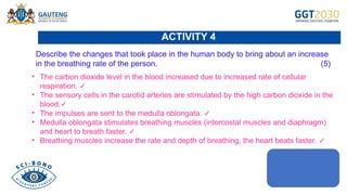 Life Sciences Gr.11 Lesson 38 Homeostasis of Carbon Dioxide levels.pptx