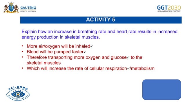 Life Sciences Gr.11 Lesson 38 Homeostasis of Carbon Dioxide levels.pptx