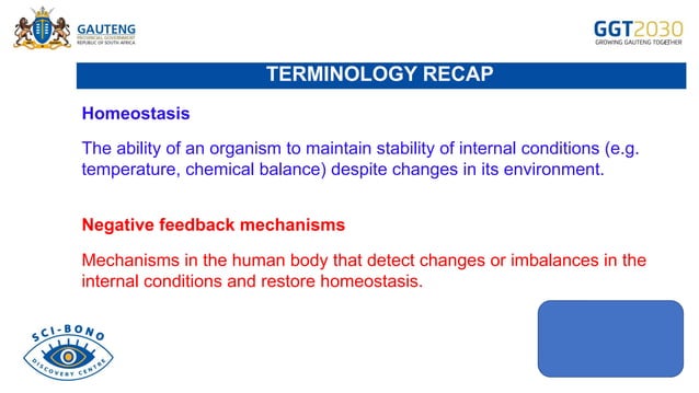 Life Sciences Gr.11 Lesson 38 Homeostasis of Carbon Dioxide levels.pptx
