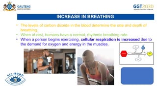 Life Sciences Gr.11 Lesson 38 Homeostasis of Carbon Dioxide levels.pptx
