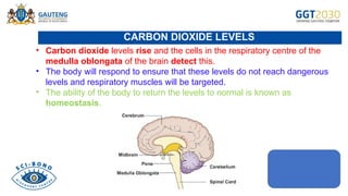 Life Sciences Gr.11 Lesson 38 Homeostasis of Carbon Dioxide levels.pptx
