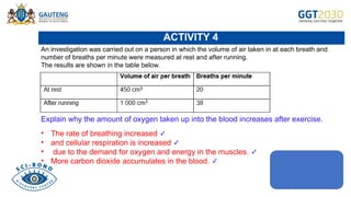 Life Sciences Gr.11 Lesson 38 Homeostasis of Carbon Dioxide levels.pptx