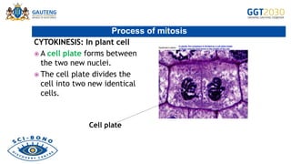 Life Sciences Gr.10 Lesson 39 Cell division (The phases of mitosis) (1).pdf
