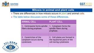 Life Sciences Gr.10 Lesson 39 Cell division (The phases of mitosis) (1).pdf