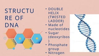 LIFE SCIENCES GRADE 12.pptx. DNA REPLICATION | PPTX