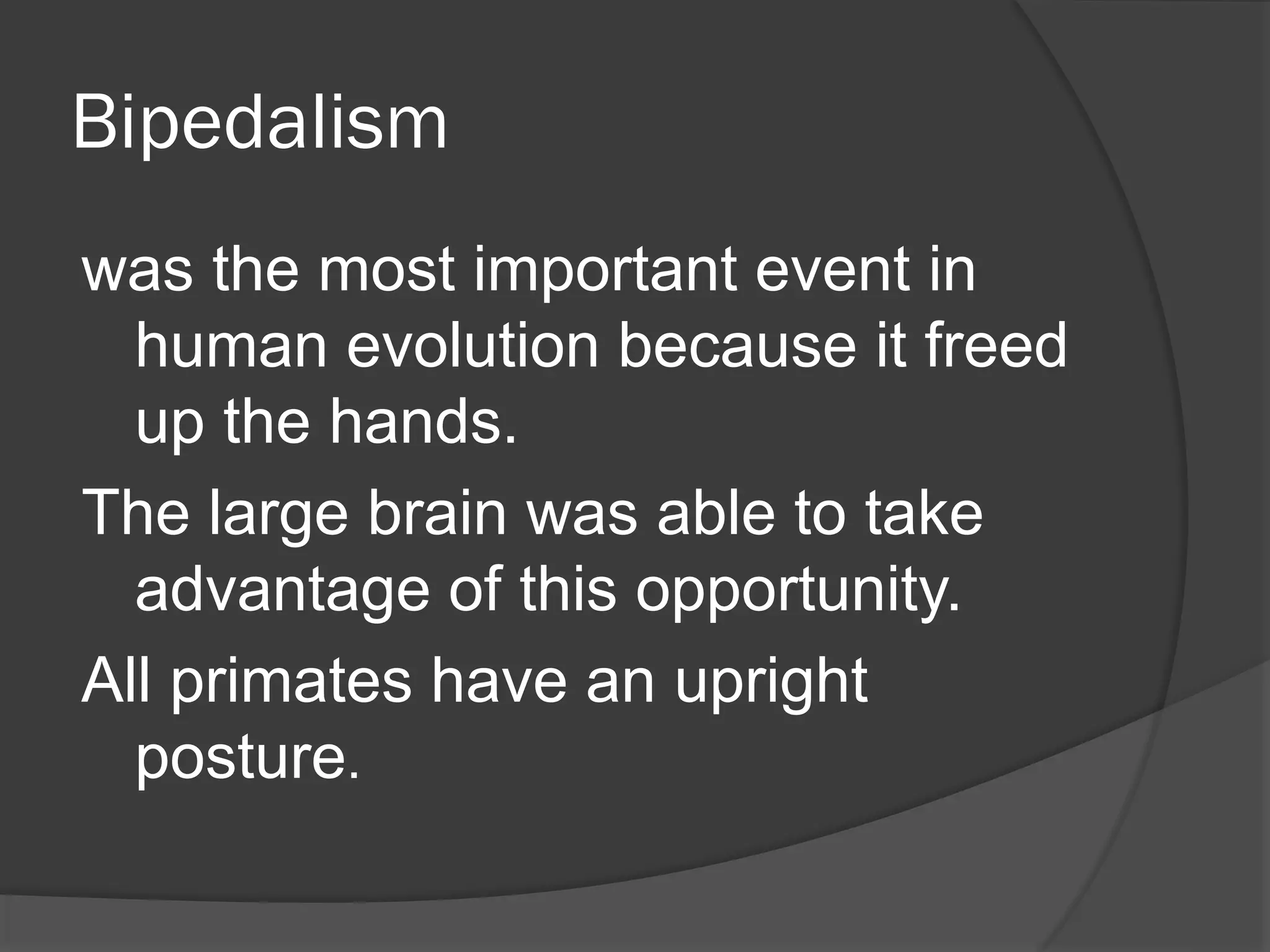 Life sciences grade 12 human evolution | PPTX