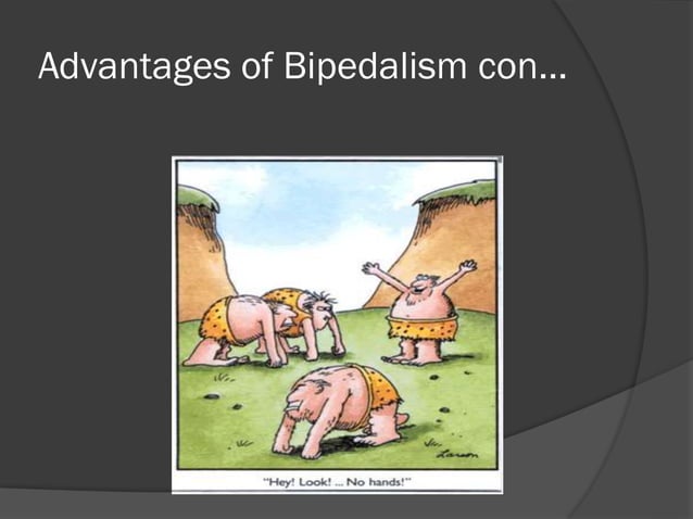 Life sciences grade 12 human evolution | PPTX