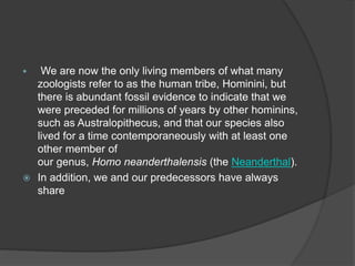 Life sciences grade 12 human evolution | PPTX