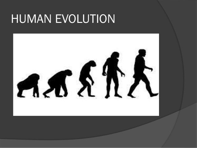 Life sciences grade 12 human evolution