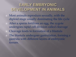 Life sciences lesson 1 | PPT