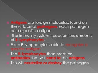 Life sciences lesson2 | PPT