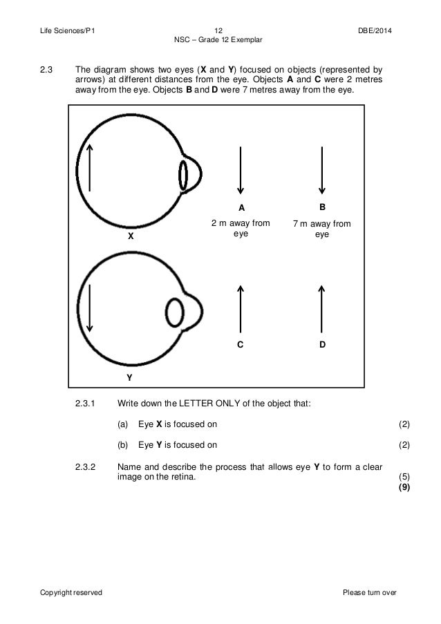 Life Sciences P1 Gr 12 Exemplar 2014 Eng 1 life-sciences-p1-gr-12-exemplar-2014-eng-1
