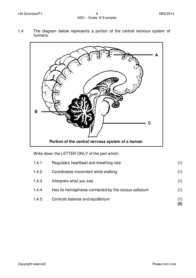 Herinasari 20 Grade 12 Exemplar 2014 Exemplar Education Review Herinasari 20 Grade 12 Exemplar 2014 Exemplar Education Review