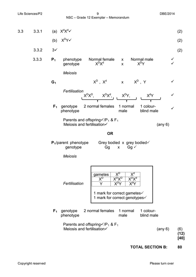 Life sciences p2 gr 12 exemplar 2014 eng memo | PDF
