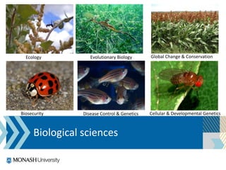 Life sciences (Biological, Biomedical and behavioural sciences) | PPT