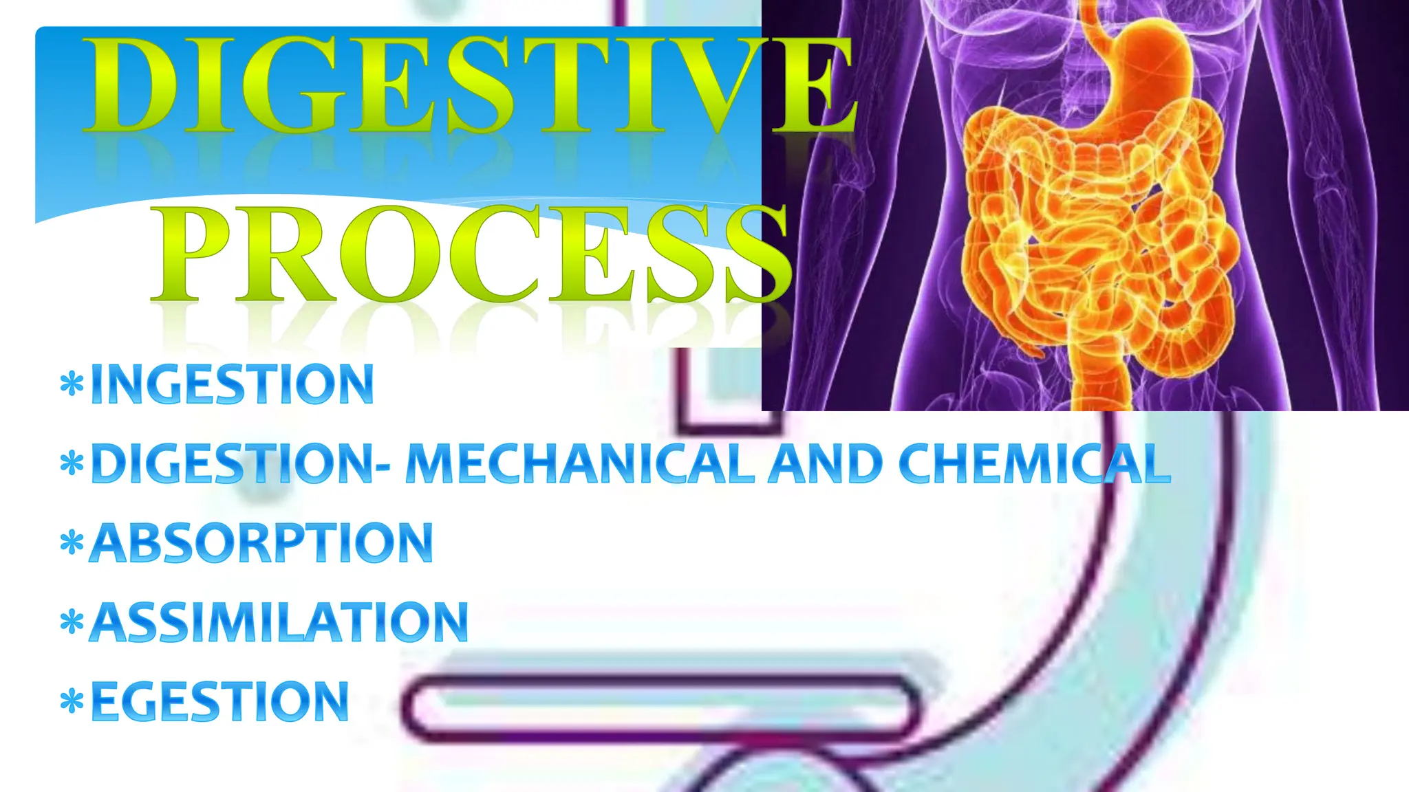 LIFE_SCIENCES_PRESENTATION_GRADE_11 HUMAN DIGESTIVE SYSTEM.pptx