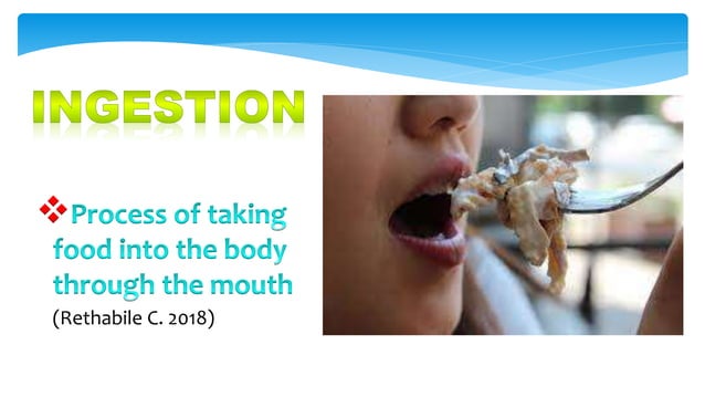 LIFE_SCIENCES_PRESENTATION_GRADE_11 HUMAN DIGESTIVE SYSTEM.pptx