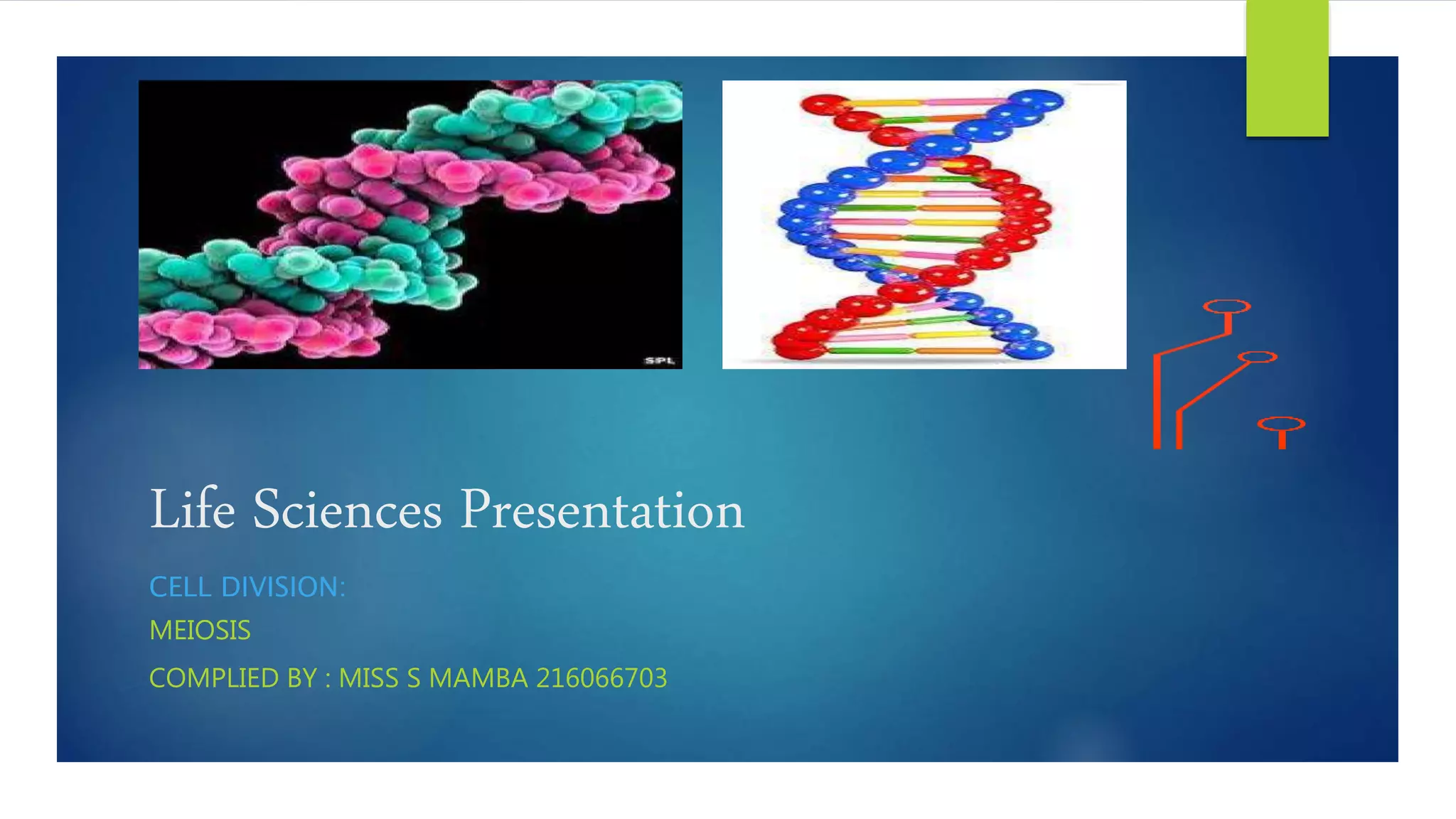 Life sciences presentation TST 3B | PPTX | Infertility | Reproductive ...