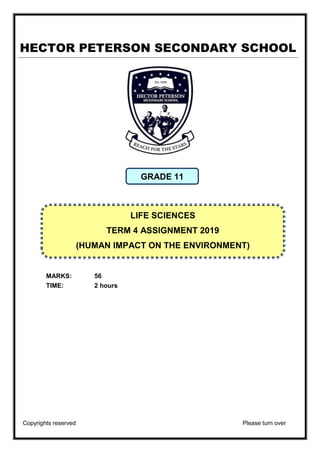 Life sciences term 4 assignment grd 11 | PDF