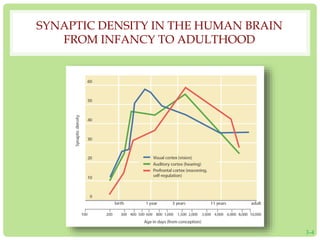 Lifespan Chapter 3 Online Stud | PPTX | Pregnancy | Reproductive Health