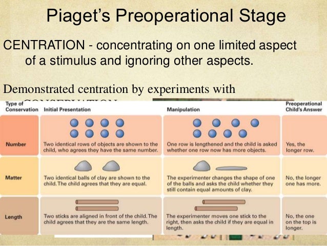 Lifespan Chapter 5-Online Stud