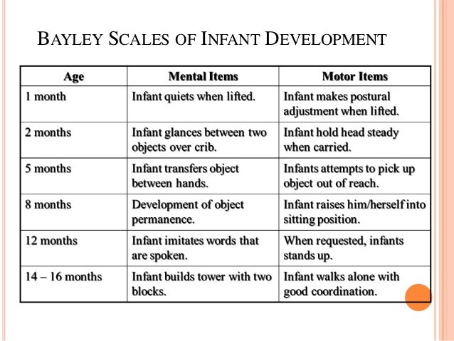 Life span development