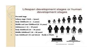 Human Lifespan Development Stages