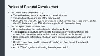Lifespan_Development_Chapter03_Prenatal_Development.pptx