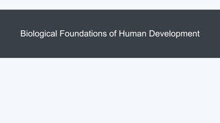 Lifespan_Development_Chapter03_Prenatal_Development.pptx