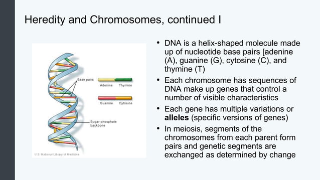 Lifespan_Development_Chapter03_Prenatal_Development.pptx