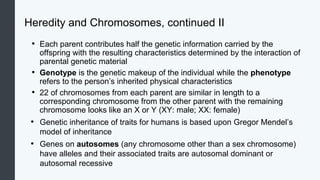 Lifespan_Development_Chapter03_Prenatal_Development.pptx