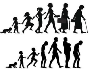 Life span development | PPTX