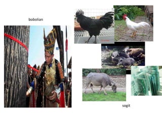 Lifestyle, culture and tradition | PPT