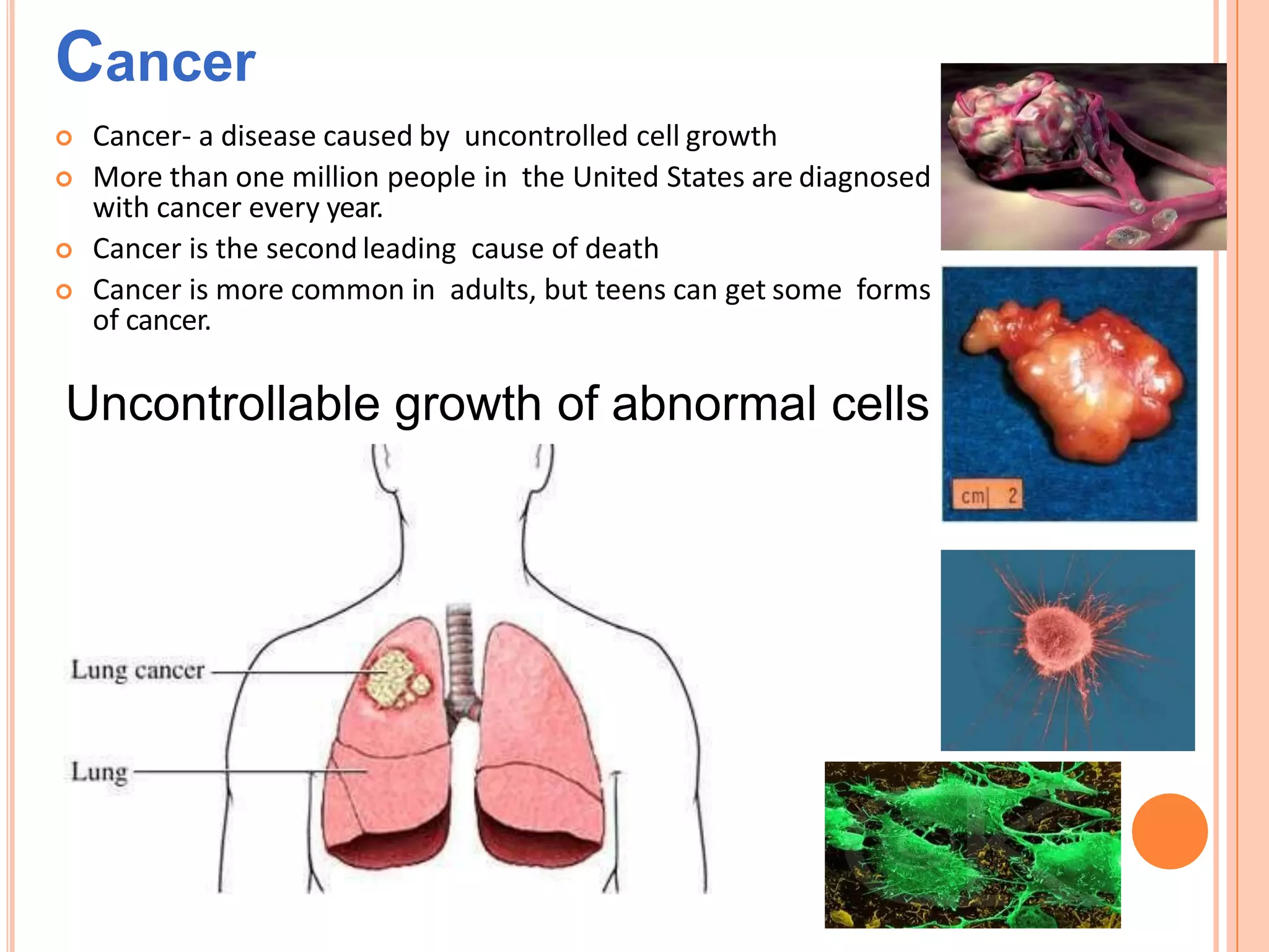 Causes and Effects of Lifestyle diseases | PDF