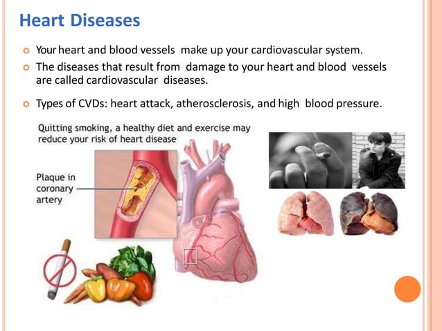 Causes and Effects of Lifestyle diseases | PDF