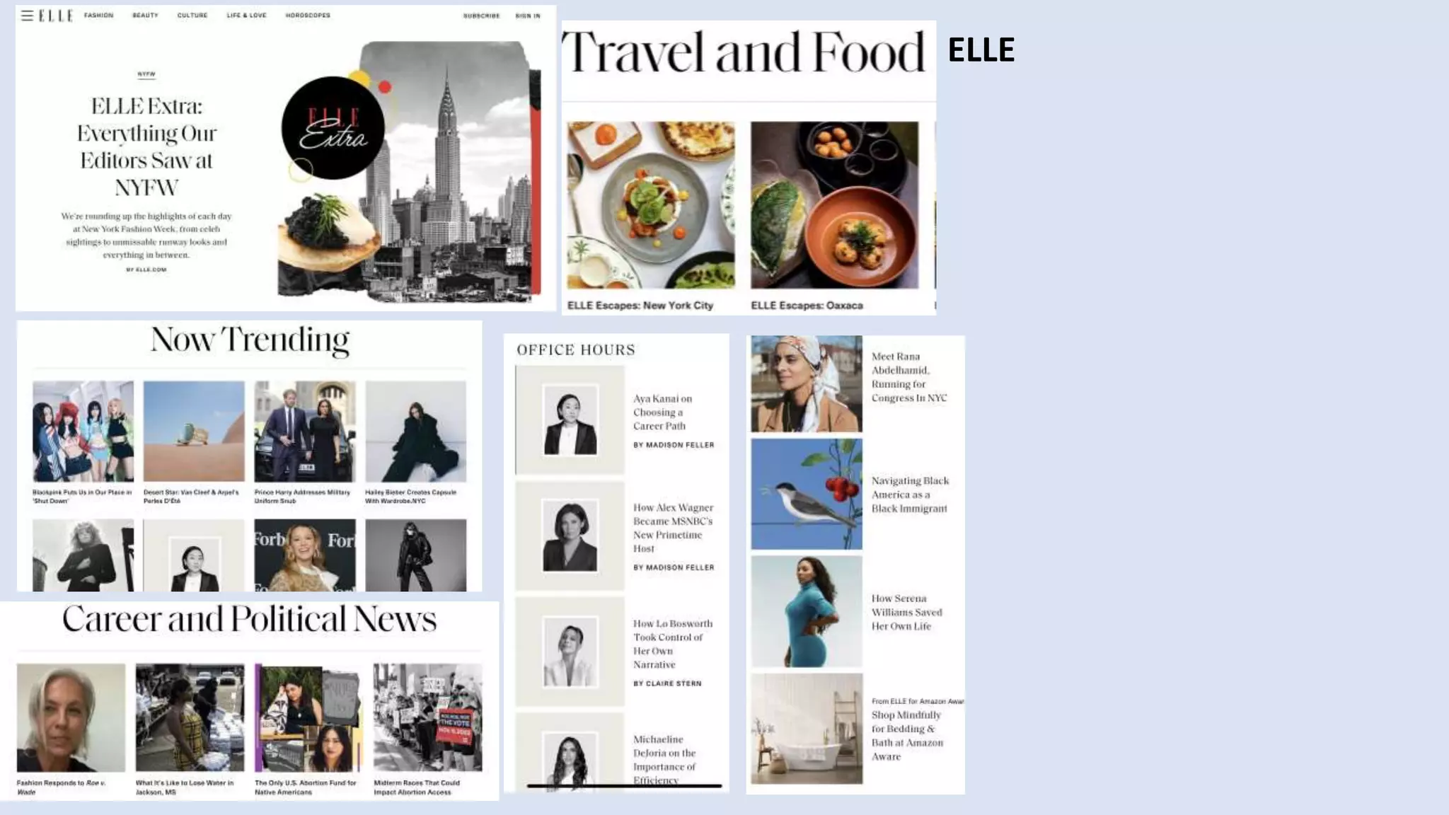 LIFESTYLE MAGAZINES.pptx