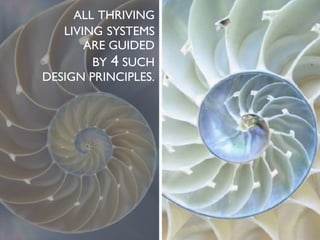 Life's Universal Design Principles | PDF | Beekeeping | Hobbies & Interests