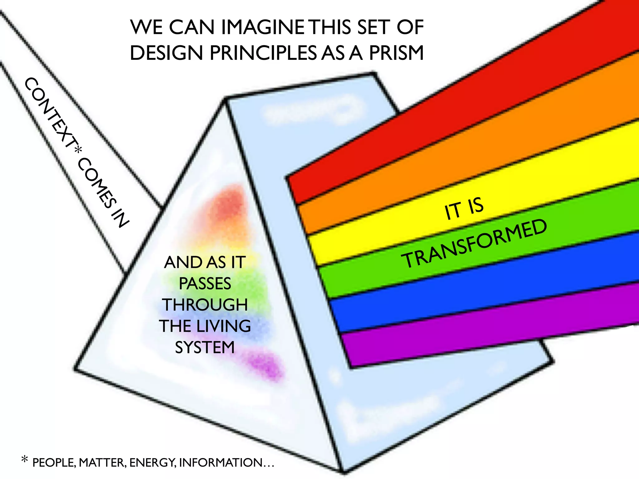 Life's Universal Design Principles | PDF