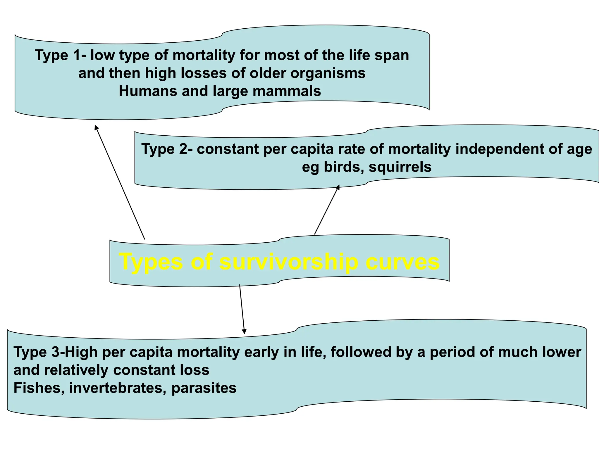 Life Table and survivorship curves and their role. | PPT