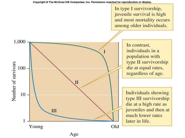 Life Table and survivorship curves and their role. | PPT | Biological ...
