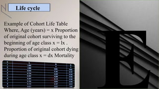 Life table / life cycle (Chitra ).pptx