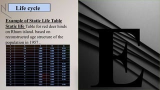 Life table / life cycle (Chitra ).pptx