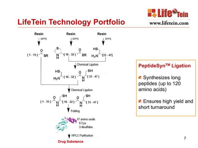 Custom peptide synthesis services | PDF | Chemistry | Science