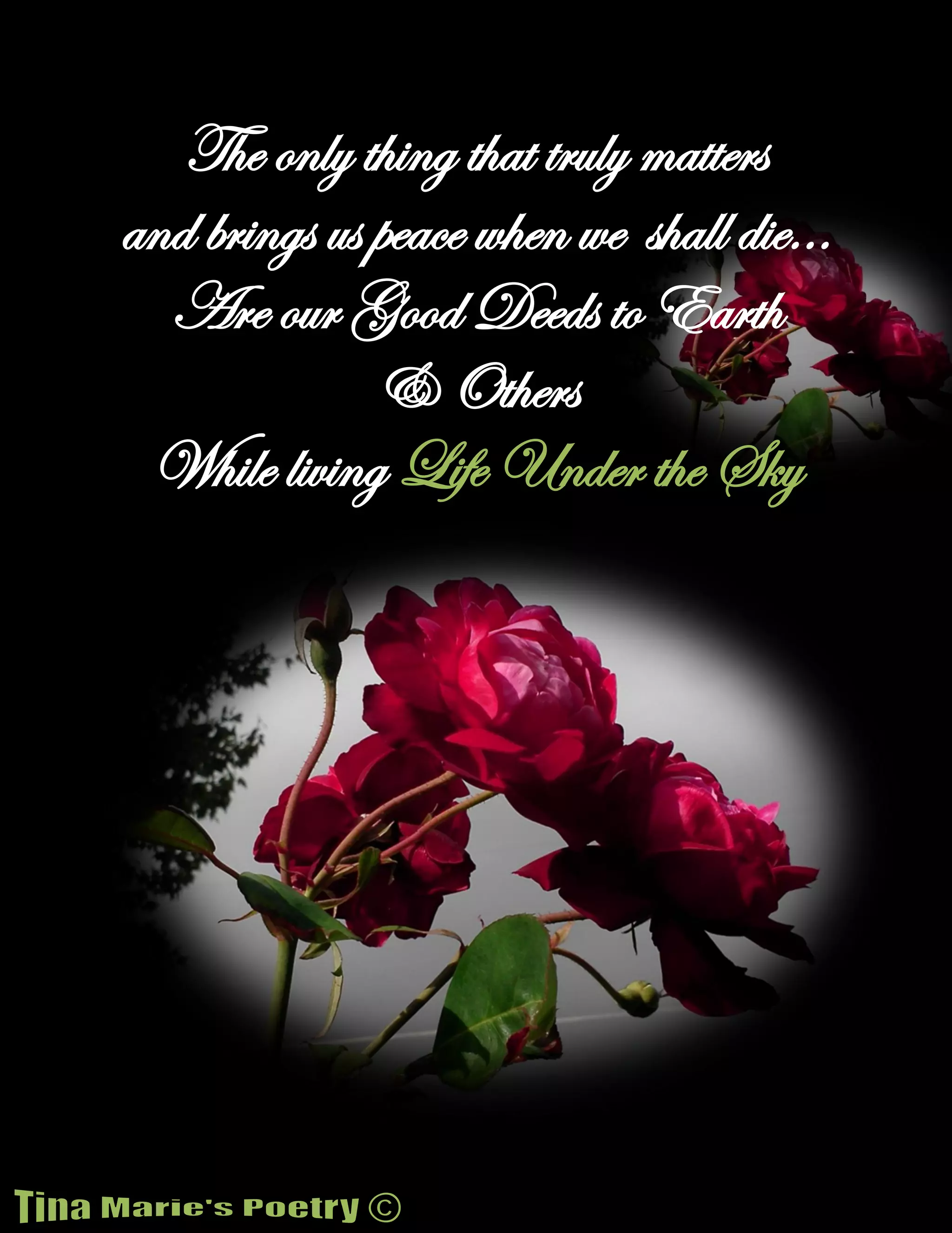 Life under the Sky | PDF | Poetry | Books and Literature