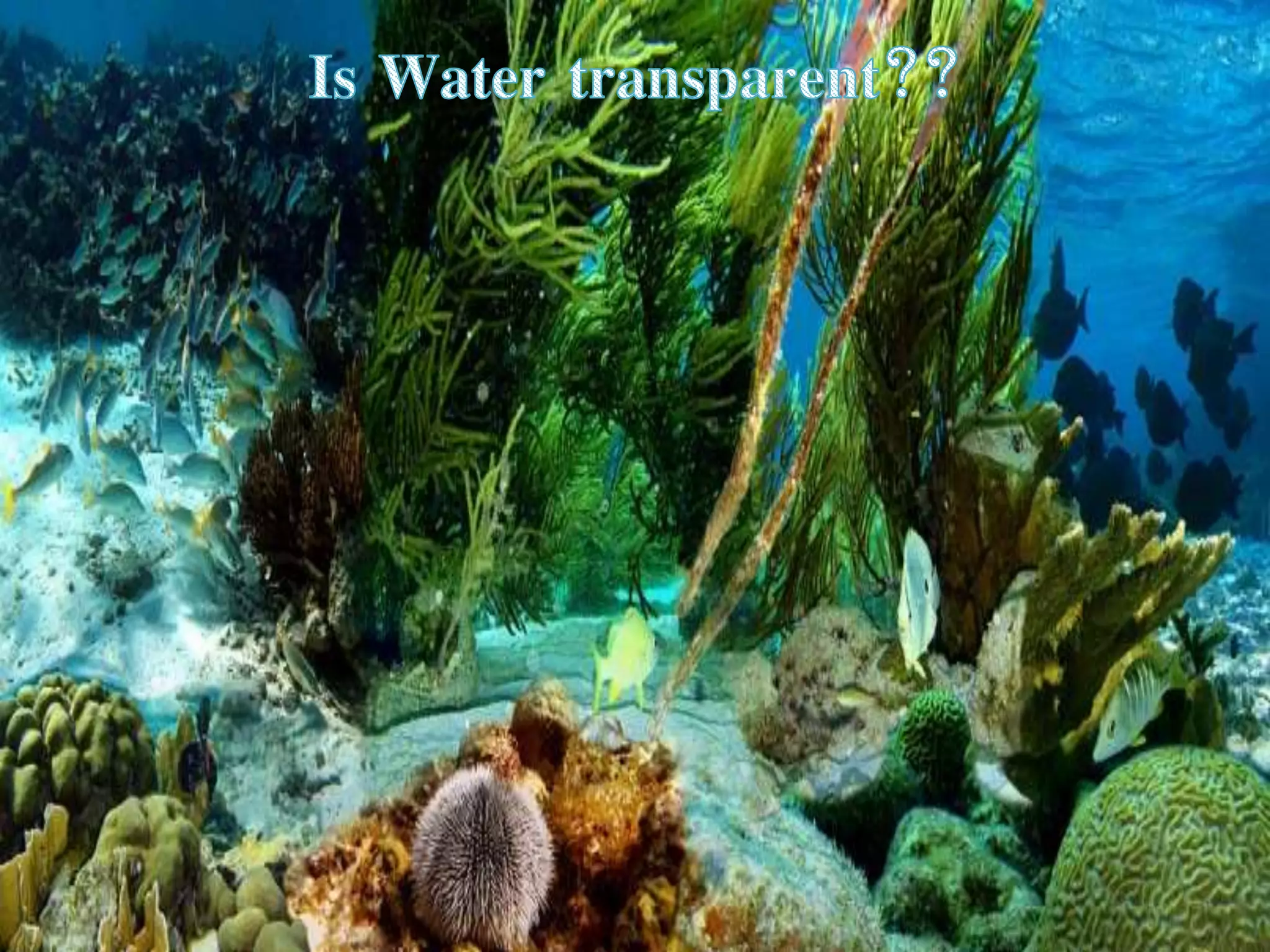 Life underwater | PPTX